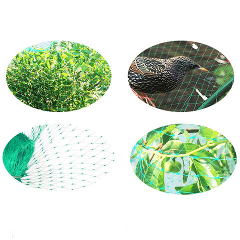 China Protection Net Mesh High protection Hdpe bird mist nets for ...