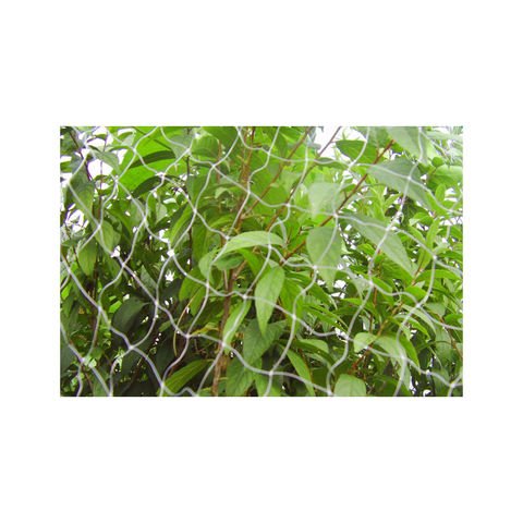 China Protection Net Mesh High protection Hdpe bird mist nets for ...