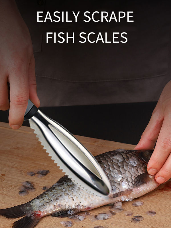 China Durable Stainless Steel Fish Scale Remover Cleaning, Fish Scale ...