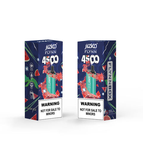 China Disposable e-cigarette 3% nicotineHZKO flynn4500puffs Mesh shaped ...