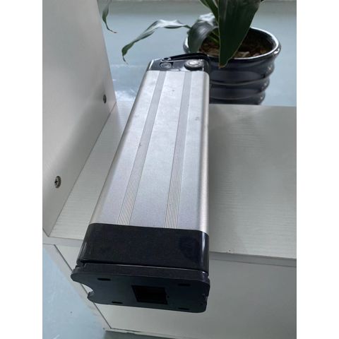 China Electric Bike Battery 36V Lithium SilverFish Case on Global ...