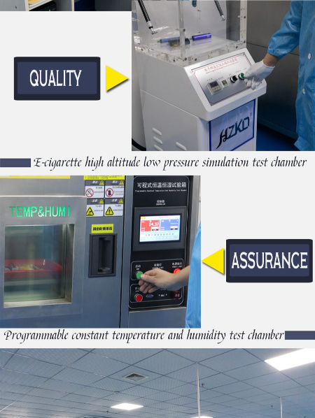 China HZKO IDOL FLYNN Disposable E-cigarettes device 850mAh ...