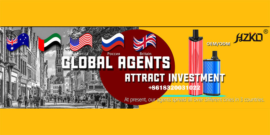 China HZKO IDOL FLYNN Disposable E-cigarettes device 850mAh ...