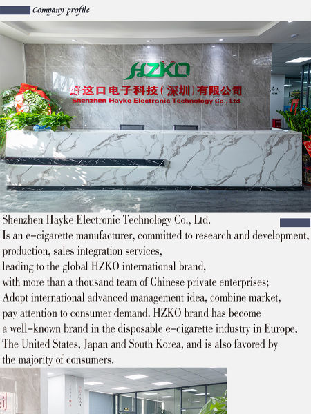 China HZKO IDOL FLYNN Disposable E-cigarettes device 850mAh ...