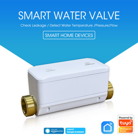 China Smart water valve, measure the flowing ,measure the water ...