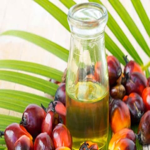 United States Good Quality Palm Oil Cooking Oil on Global Sources,Food ...