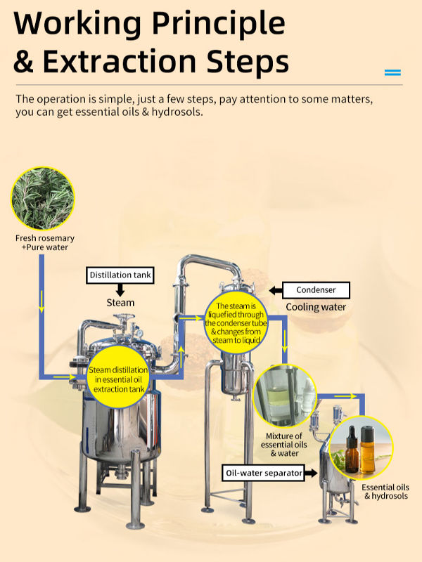 China Steam distillation machine Steam Distillation Essential Oil ...