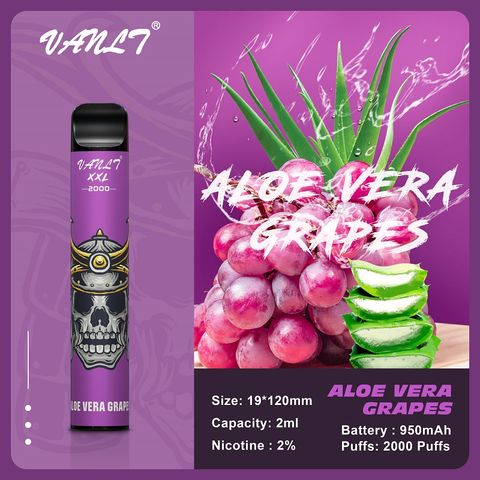 China Christmas hot selling popular disposable vape 2000puffs Russian ...