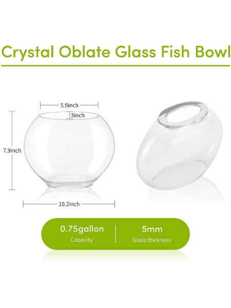 China Mini Glass Oval fish tank set on Global Sources,small fish tank ...