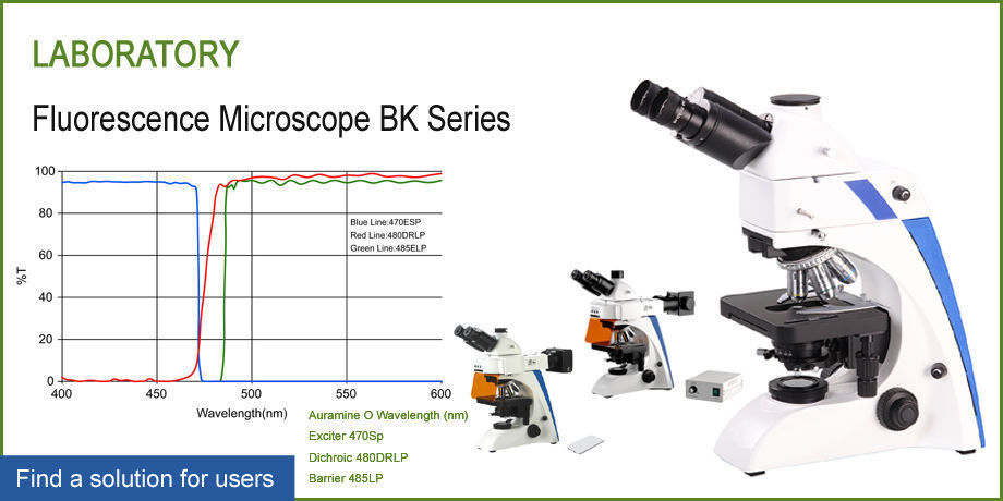 China Microscope electronique x10000camera para microscopio trinocular ...