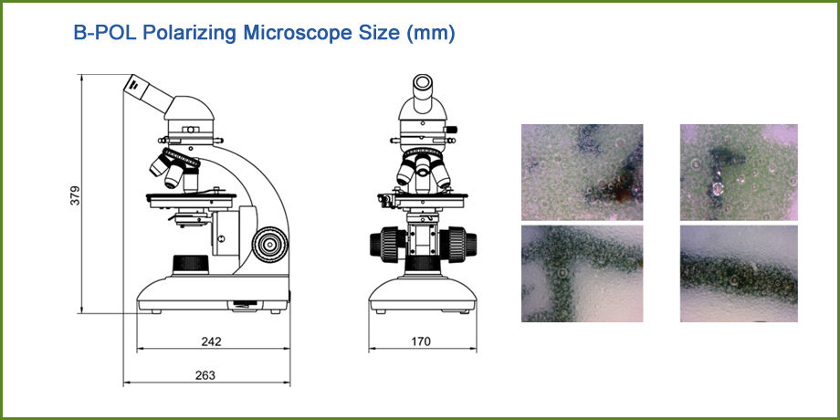 China Microscope insecte Monocular polarized microscope for ...