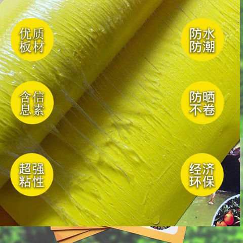 China Special adhesive paper for fly-killing lamp Commercial adhesive ...