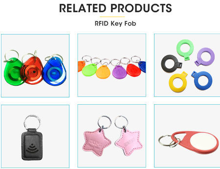 China Toptag ABS 125KHZ RFID Keyfob, Custom Color RFID Key Chain for ...