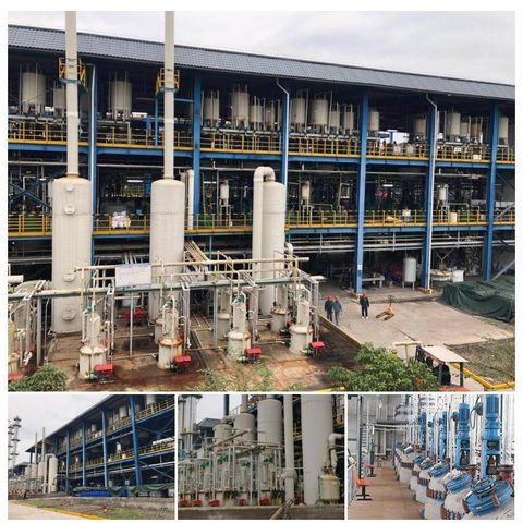 China Iodopropynyl Butylcarbamate Ipbc CAS 55406-53-6 for Coating ...