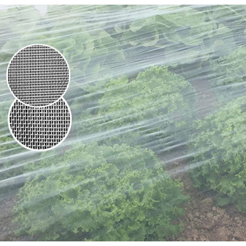 China Plastic Mesh Agricultural Greenhouse Anti Aphid White Fly Insect ...