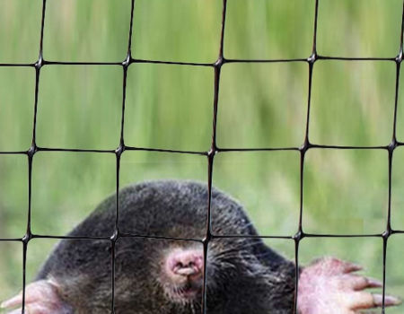 China Wholesale 100% Virgin PP Protection Extruded Mesh Anti Mole ...