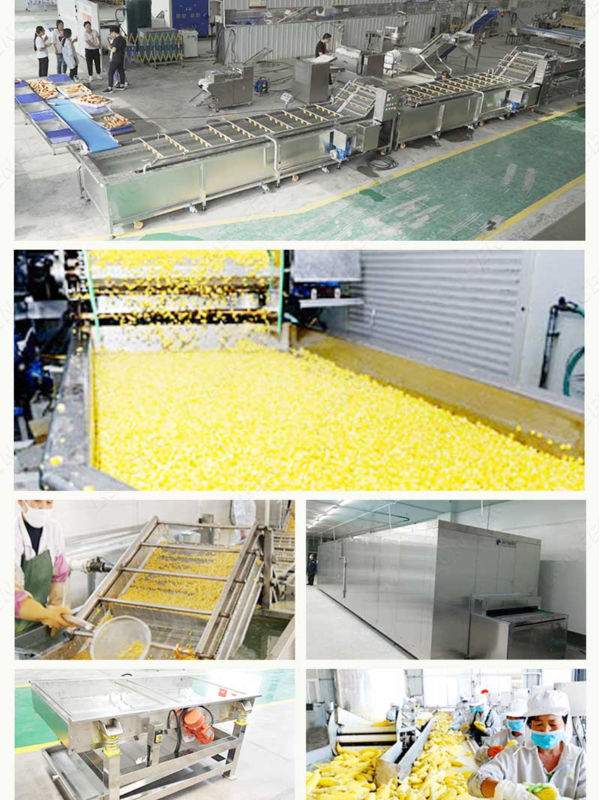China Industrial Sweet Corn Processing Machine Sweet Corn Processing ...