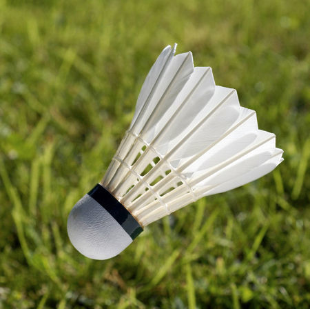 China Shuttlecock Factory Supply badminton shuttle Super Grade Goose ...