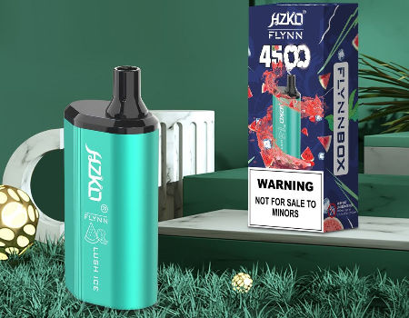 China Box Vapes 4500 Puffs Vape Pen HZKO Idol Flynn Disposable Vape E ...