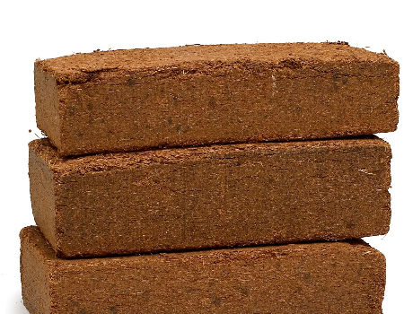 Canada Premium Coco Coir Brick | 11 Pound Coconut Fiber Block | Coco ...