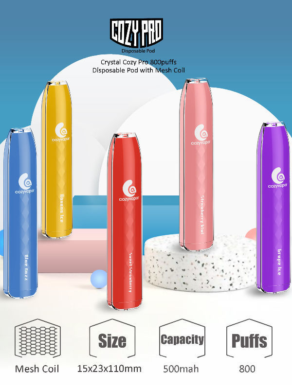 China Raspberry Mint Prefilled Nicsalt 800puff Disposable Pod with ...