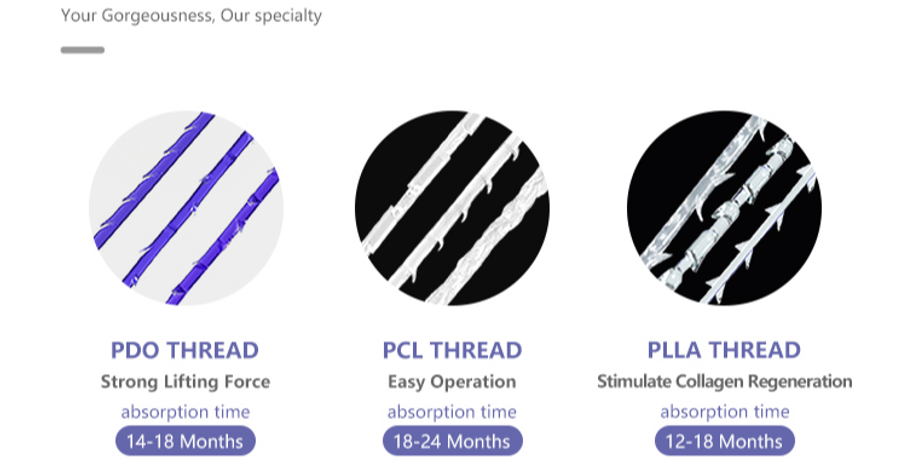China Korea absorbable pdo blunt cog 3d 4d 6d 8d barbed pdo thread lift ...