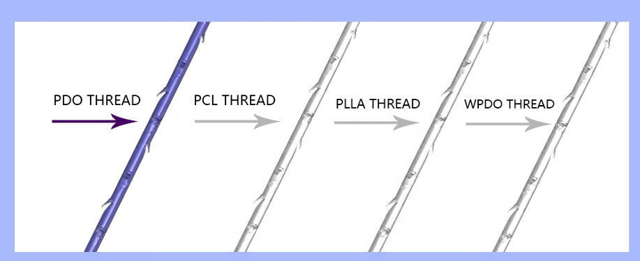 China CE Korea PDO Lifting Thread Cavern Screw Multi Thread PCL trando ...