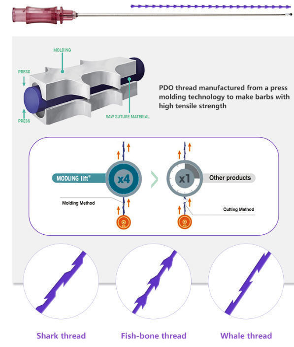 Cog 4D Pdo Thread Lift Face V Line Barbed Wire Blunt L Type Korea ...