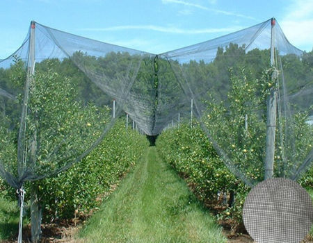 Wholesale customization protection virgin plastic agricultural anti ...