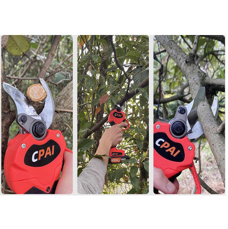 Grape Taiwan Hedge Shears Professional Multi Electric Scissors, garden ...