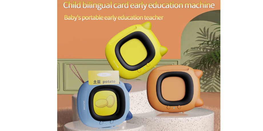 Educational Toy for Kids Listen and Learn Literacy Audible Flash Cards ...