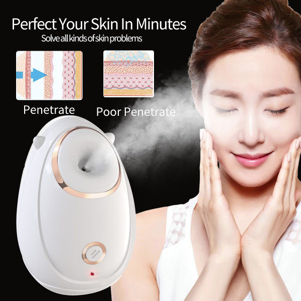 Face Steaming Device 2 in 1 Nano Ionic Hot Professional Spa Steam ...