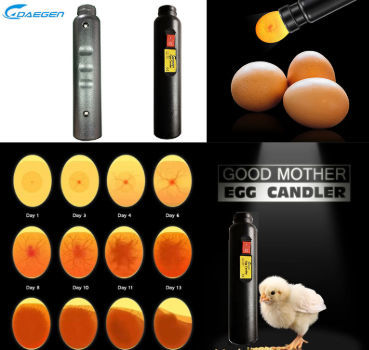 Egg Candler Tester Incubator for Chickens Ducks Birds Eggs Battery ...