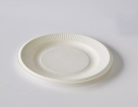 Buy Wholesale China Disposable Paper Plate 100% Sugarcane Bagasse Fiber ...