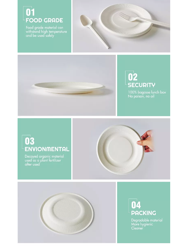 Buy Wholesale China Disposable Paper Plate 100% Sugarcane Bagasse Fiber ...