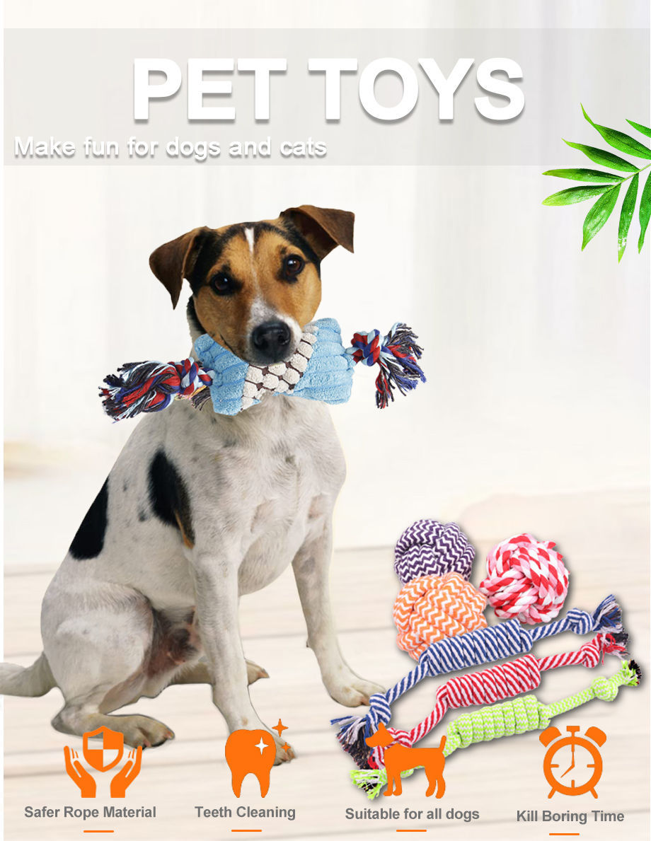 Buy Wholesale China High Quality Cotton Rope Interactive Movement Molar ...