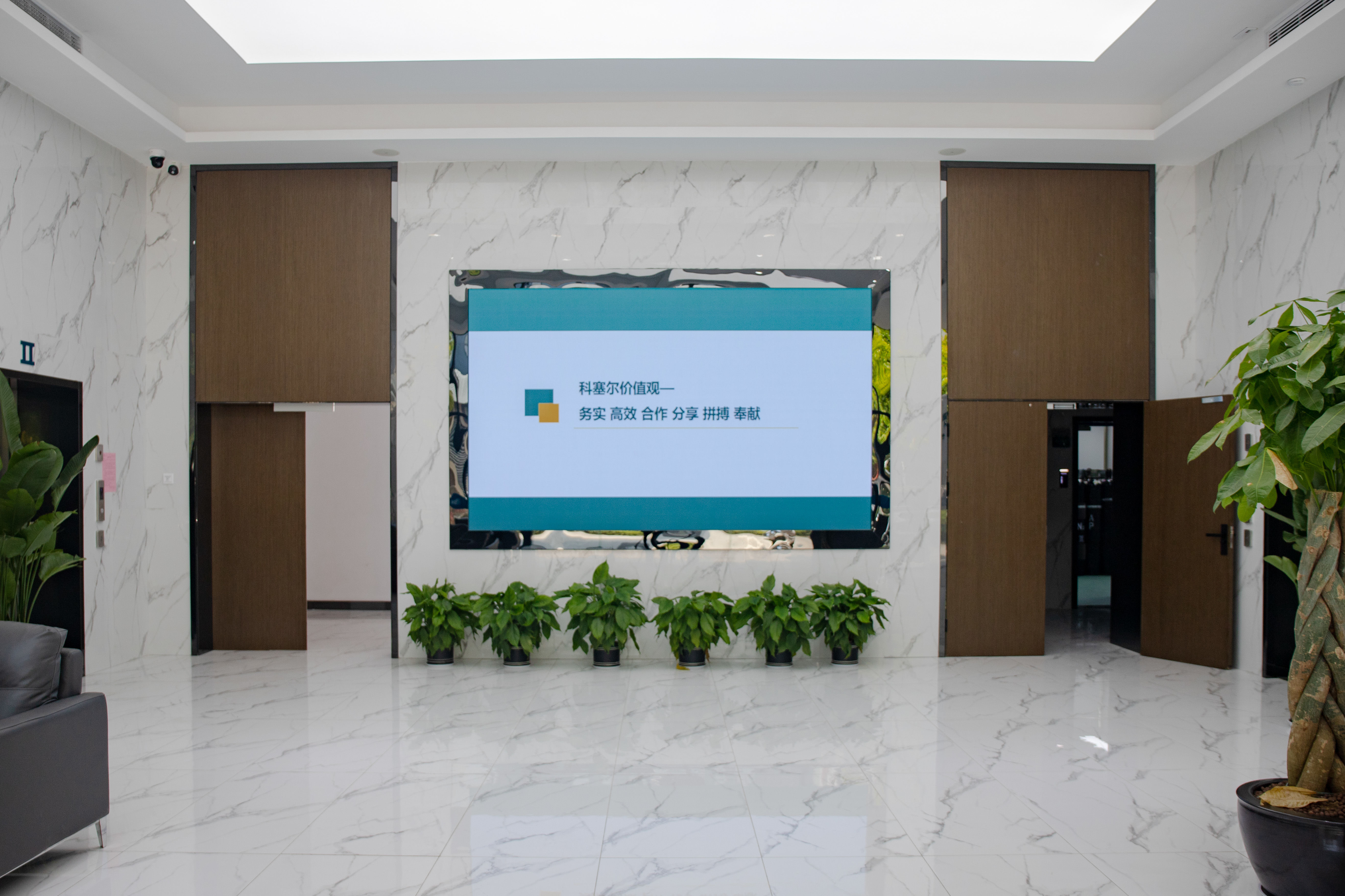 Buy Wholesale China Hospital Cath Lab Use Disposable Consumable Balloon ...