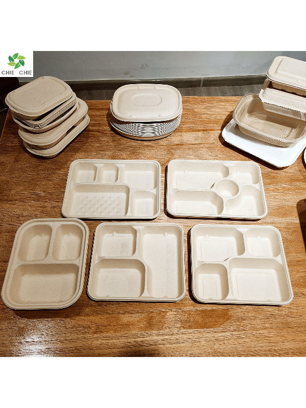 Buy Wholesale China Eco Friendly Compostable Sugarcane Tray For Food ...