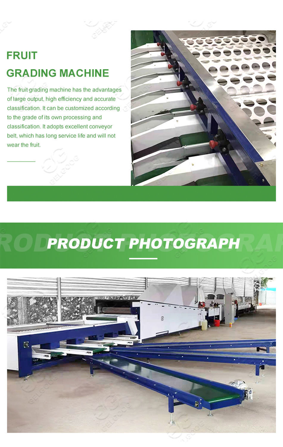 Fully Automatic Fruit Grading Machinery Factory Price - Expore China ...