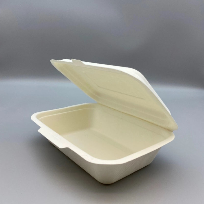 Disposable Takeout Container Clamshell Food Container Locked Tableware ...