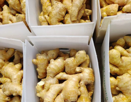 Achetez en gros Chine Gingembre Qualité Corp Pack En 1kg,5kg,10kg Par ...