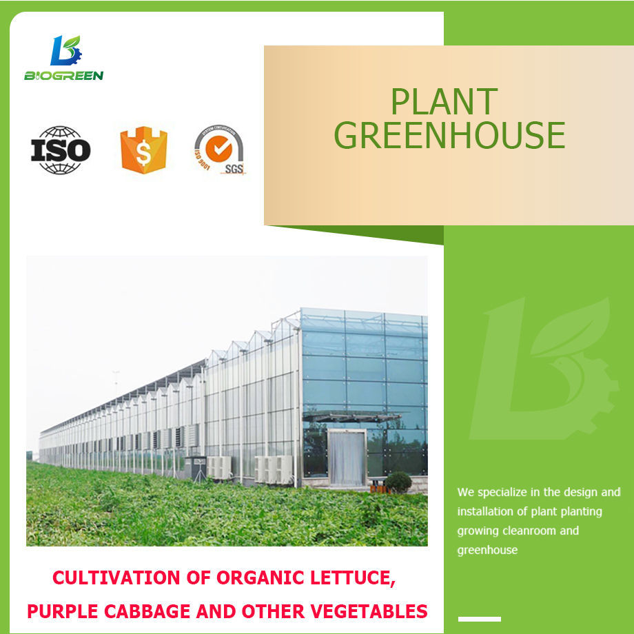 Buy Wholesale China Green House Green Single-span Greenhouse For ...