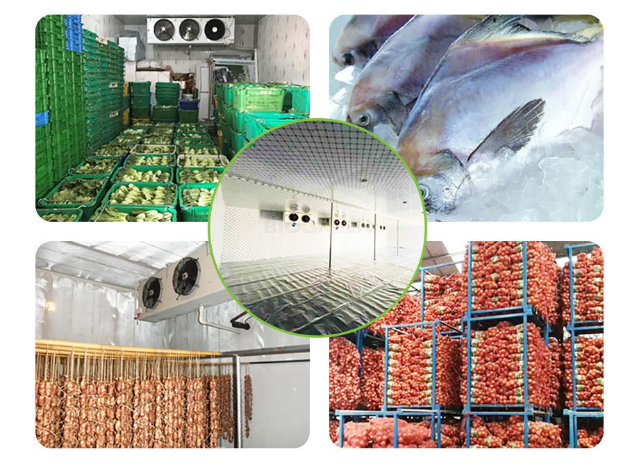 Buy Wholesale China Wholesale Cold Room Container Freezer Vegetables Cold Storage Room For Sale ...