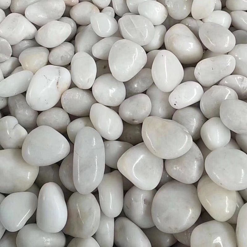 Pure White Pebbles Natural Decorative River Stones Landscape Tiles $320 ...