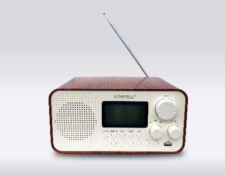 Buy Wholesale China Drm Digital Radio Receiver Gr-216 World Bands ...