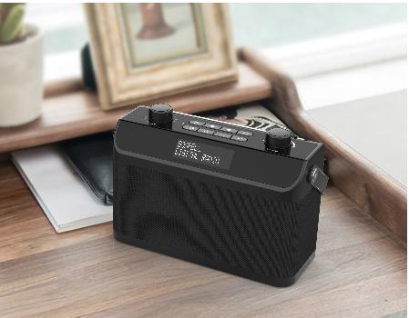 Buy Wholesale China Gospell Stylish And Elegant Portable Digital Radio ...