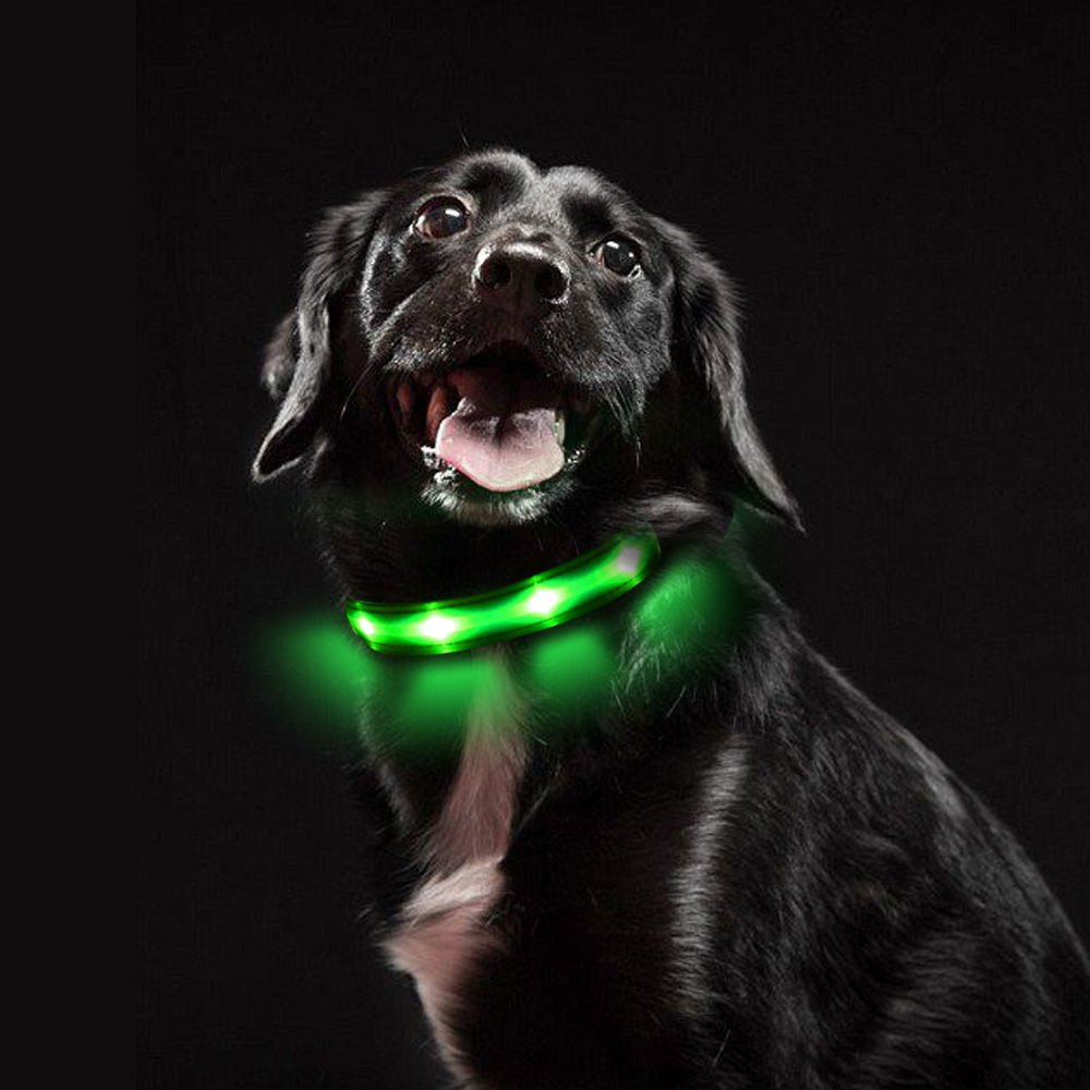 Buy Wholesale China Usb Rechargeable Custom Led Dog Collar Silicone ...