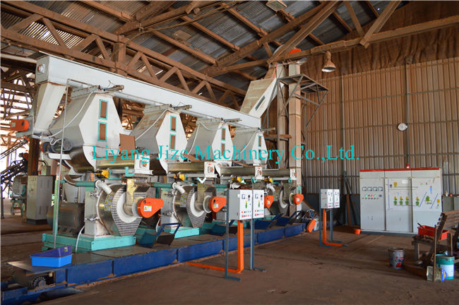 Buy Wholesale China Tofu Cat Litter Pellet Machinery Bentonite Cat ...