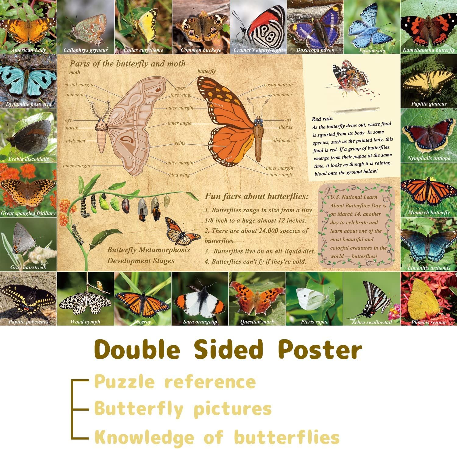 Vintage Butterfly Puzzle For Adults 1000 Piece, Flower Plant ...