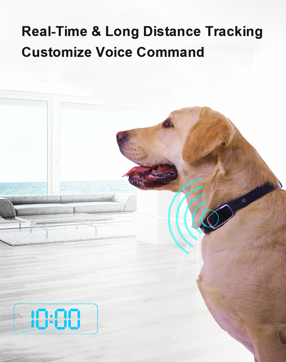 Waterproof Animal Pet Tracker Gps Device Real Time Type Pet Gps Tracker ...